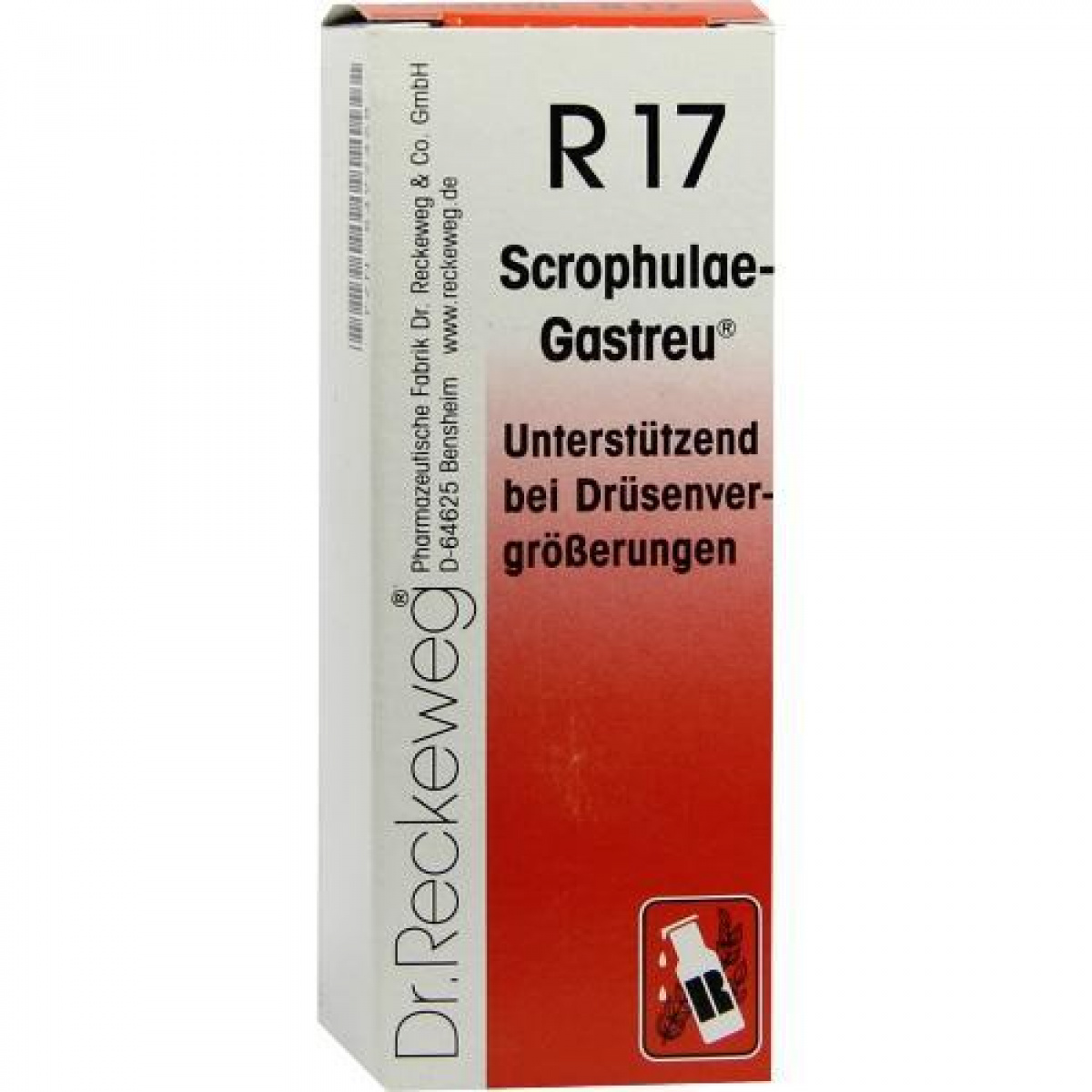 RECKEWEG R17 SCROPHULAE GASTREU 22 ml - Erbofarma farmaci, generici ...